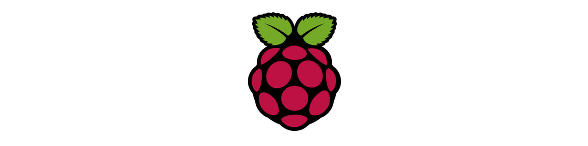 Which Raspberry Pi Operating System Should I Use? – Cool Components